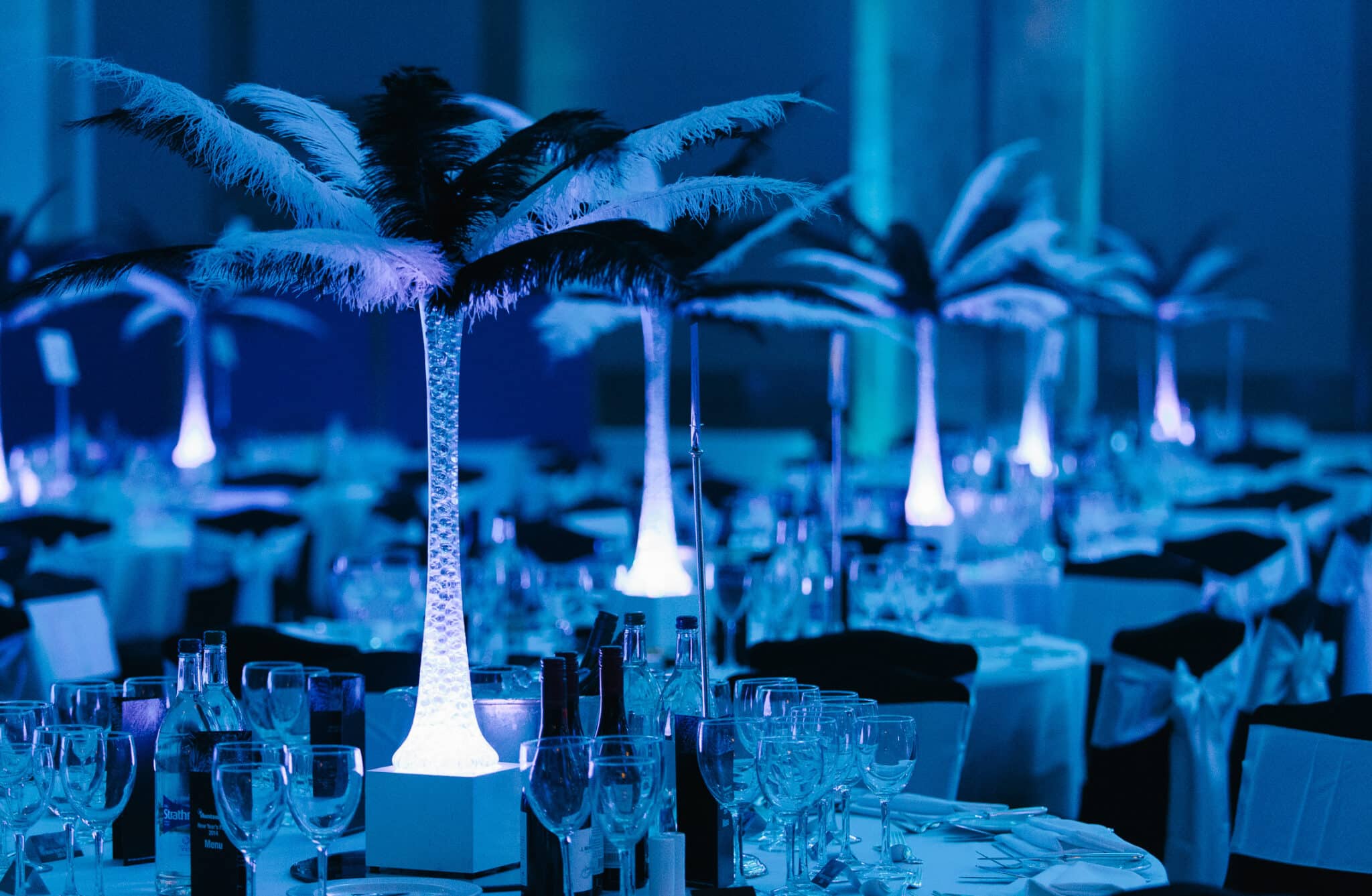 Themed Events | Firebird Events