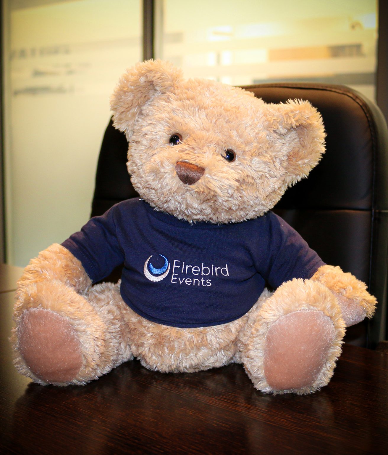 Meet Firebird Ted | Mascot of Firebird Events